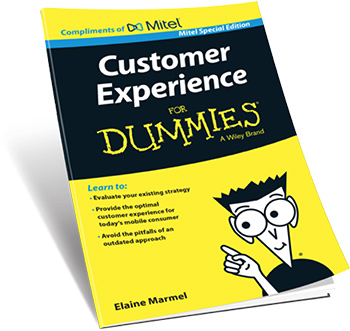 Ebook: Customer Experience for Dummies | 4Sight Communications